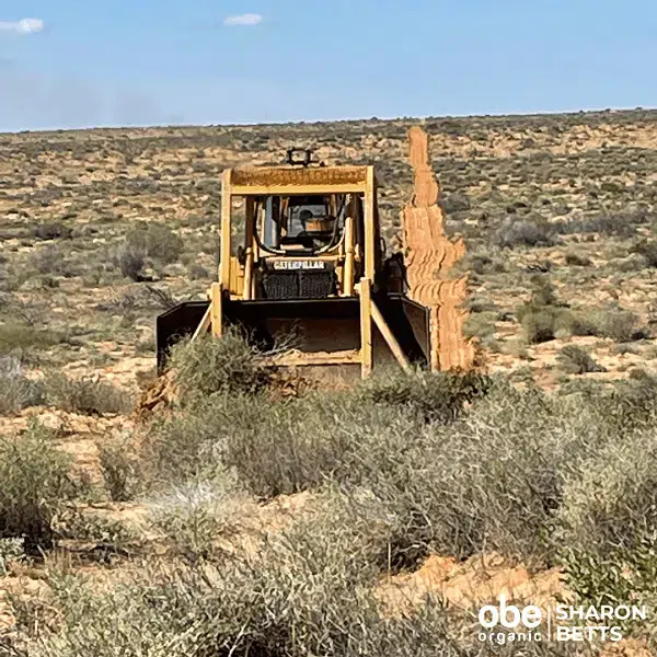 Clearing the Fence Line – Mulka | OBE Organic