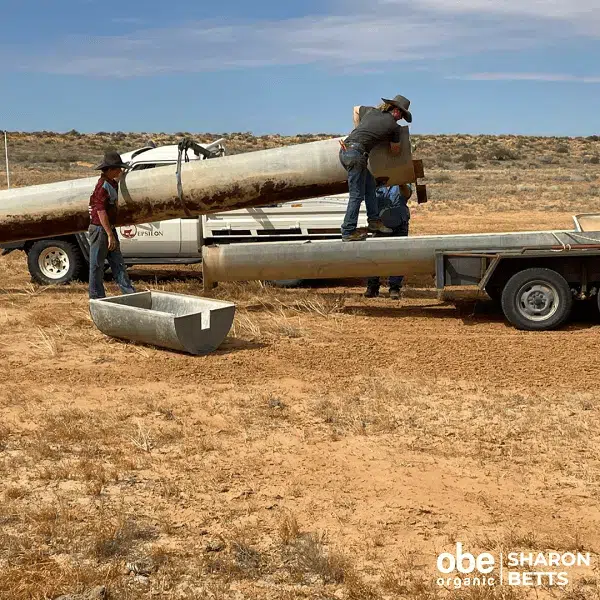 Loading Troughs - Mulka | OBE Organic
