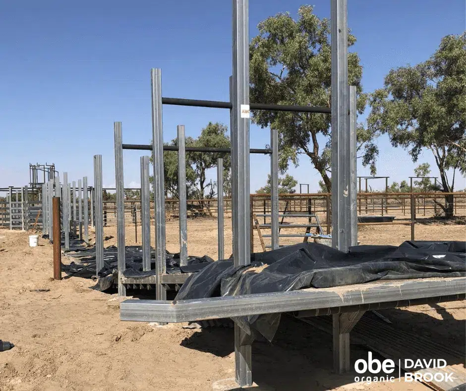 Loading Ramp Under Construction | OBE Organic