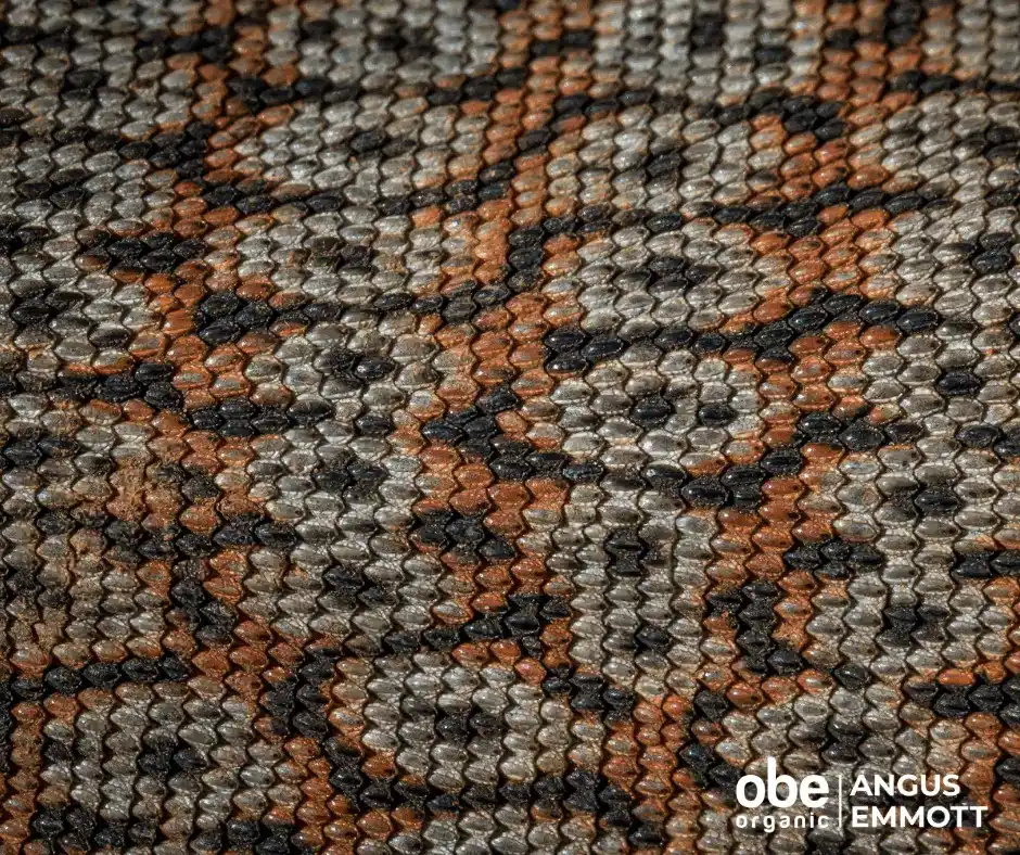 Black Tree Goanna | OBE Organic