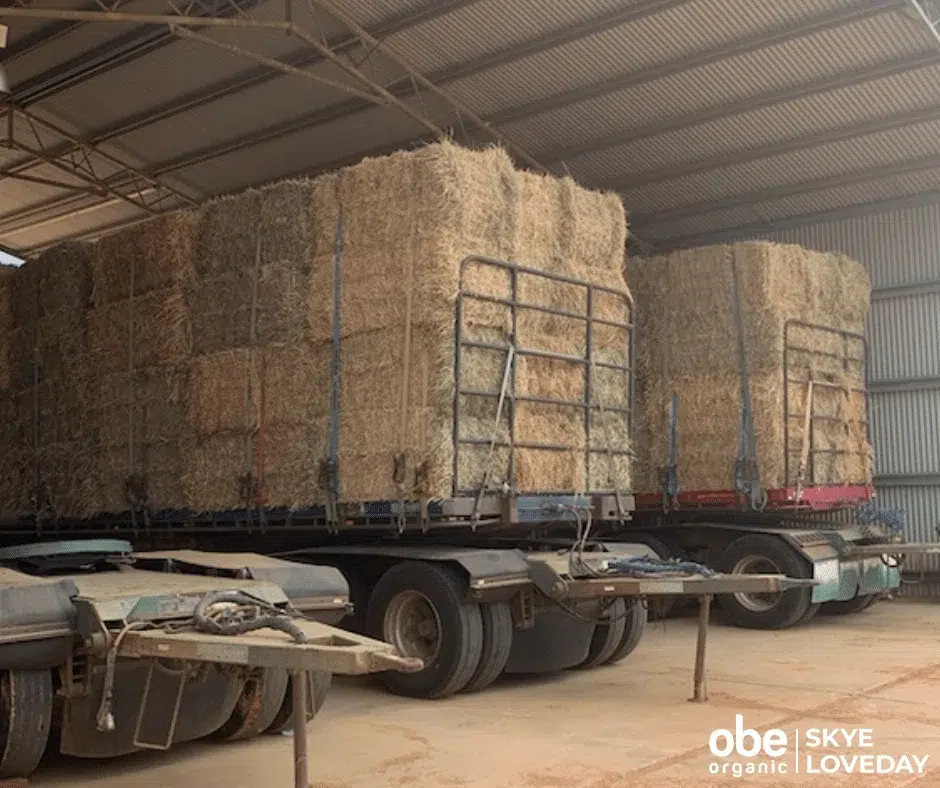 Moving Hay | OBE Organic