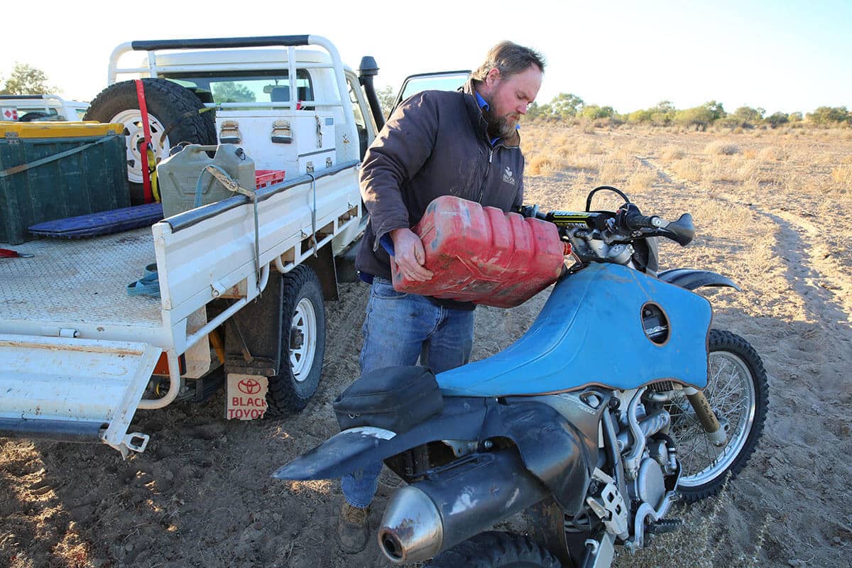 From Dawn to Dusk – Mustering Cattle on Cordillo Downs | OBE Organic ...
